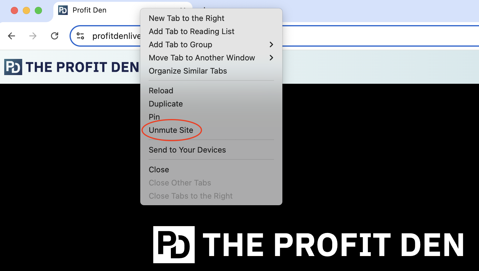 Profit Den Audio and Visual Help - Manward Press